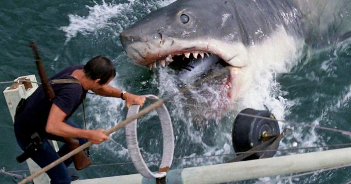 Jaws'ın tasarımcısı: Filmi özel yapan robot köpekbalığının planlandığı ...