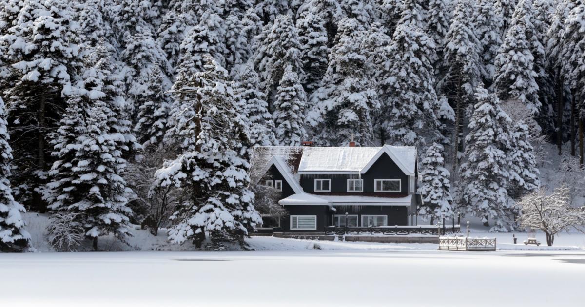 10 fotoğraf 10 paragraf | Independent Türkçe
