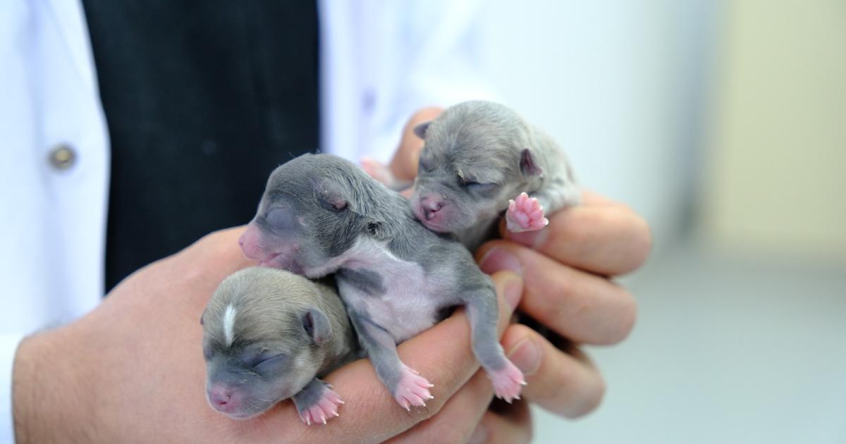 10 fotoğraf 10 paragraf | Independent Türkçe