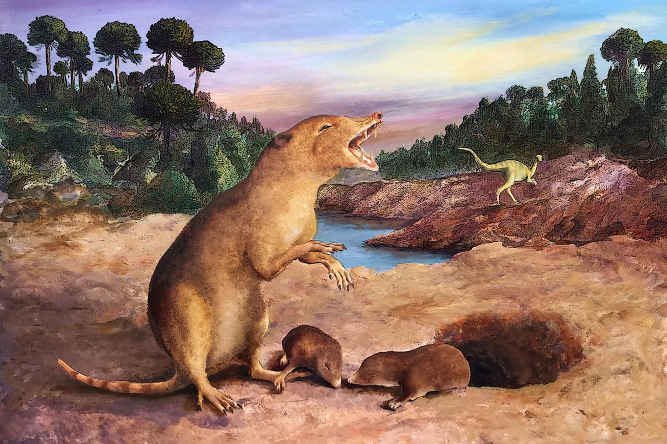 225 milyon yıl önce yaşamış sivri fare benzeri canlı, bilinen en eski ...