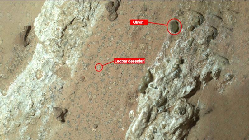 NASA'nın Mars gezgini, yaşamın olası izlerini buldu - Patronlar Dünyası